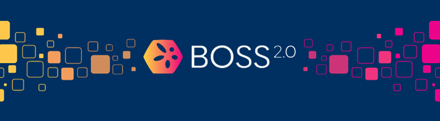 BOSS 2.0